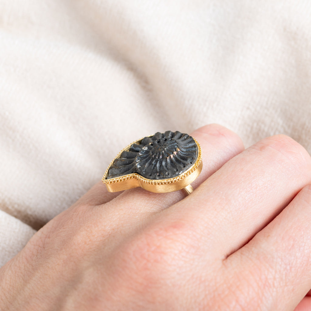 Pyratized Ammonite Spiral Ring – Amáli Jewelry